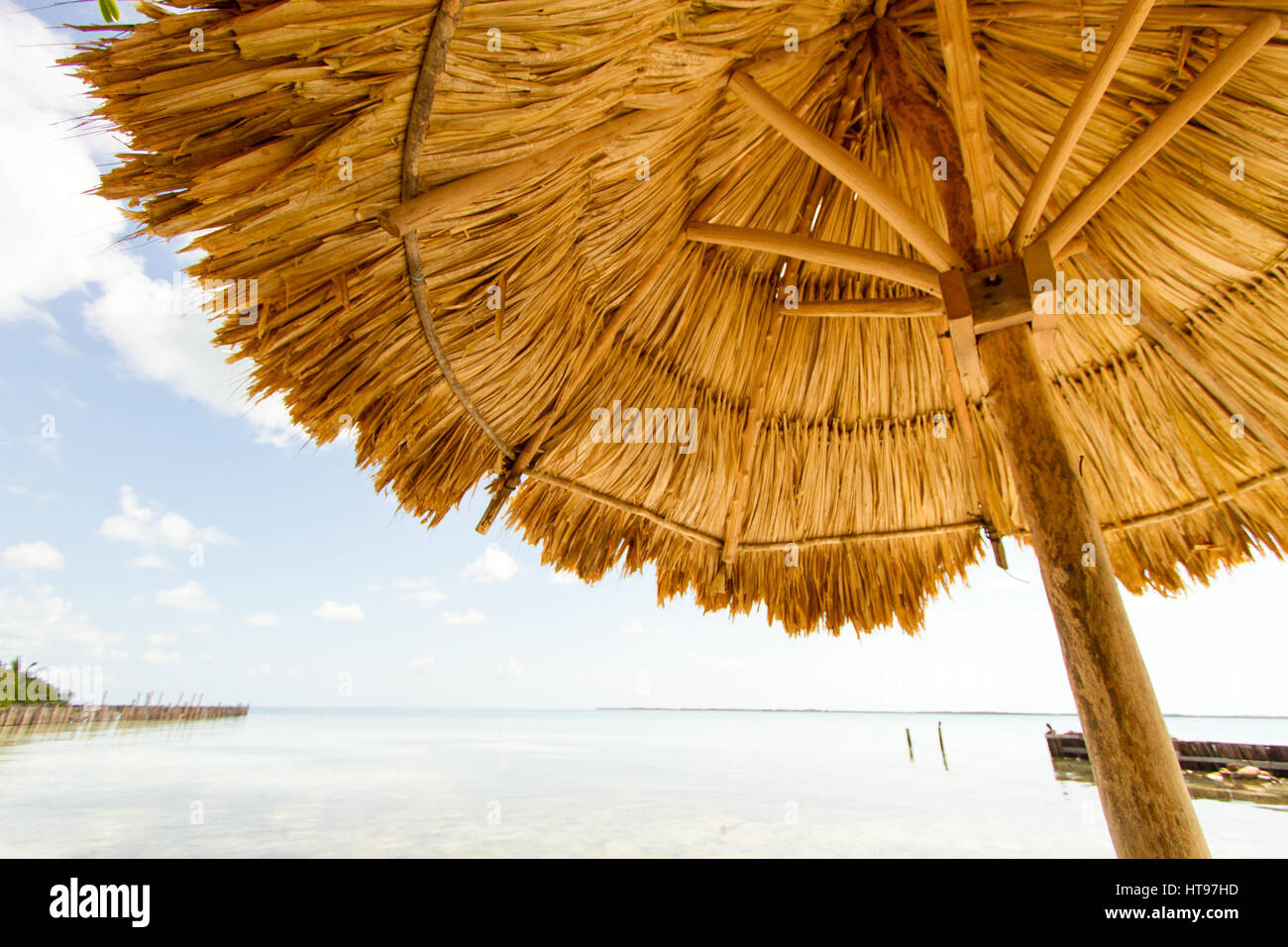 Thatched umbrella at beach in Belize Stock Photo - Alamy