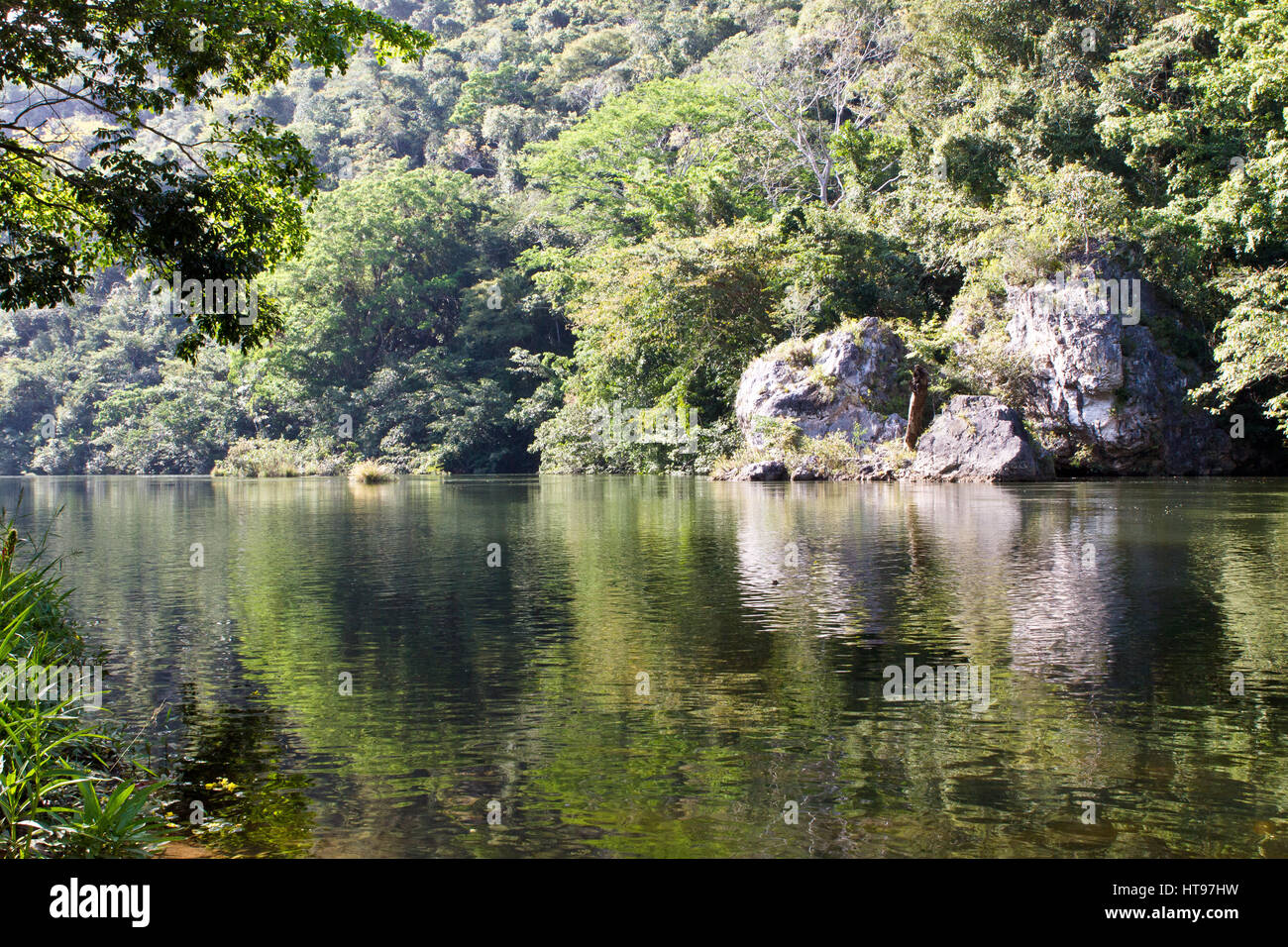 Mayan Mountains reflected in the Macal River in Belize Stock Photo - Alamy