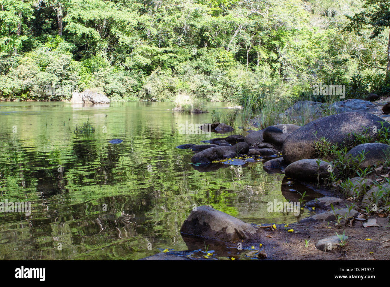 Rocks and trees line the Macal River in Belize with lush greenery ...