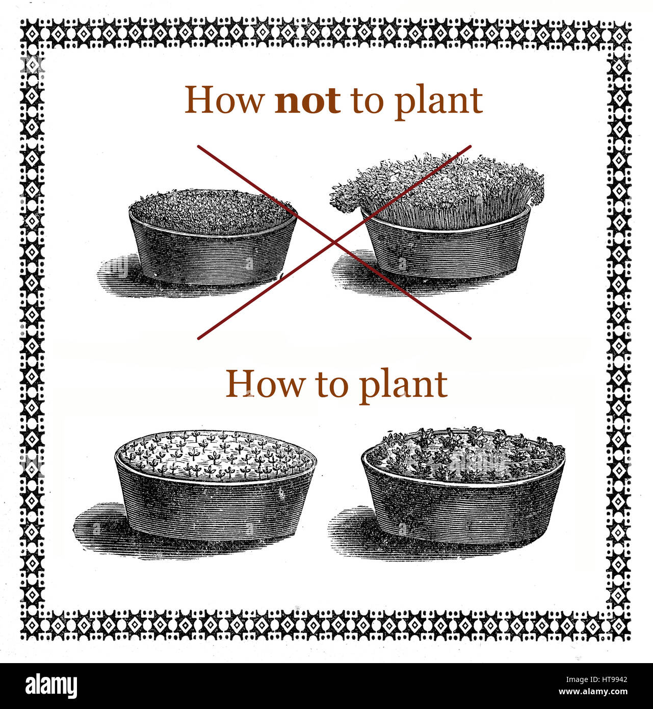 Sowing seed engraving hi-res stock photography and images - Alamy
