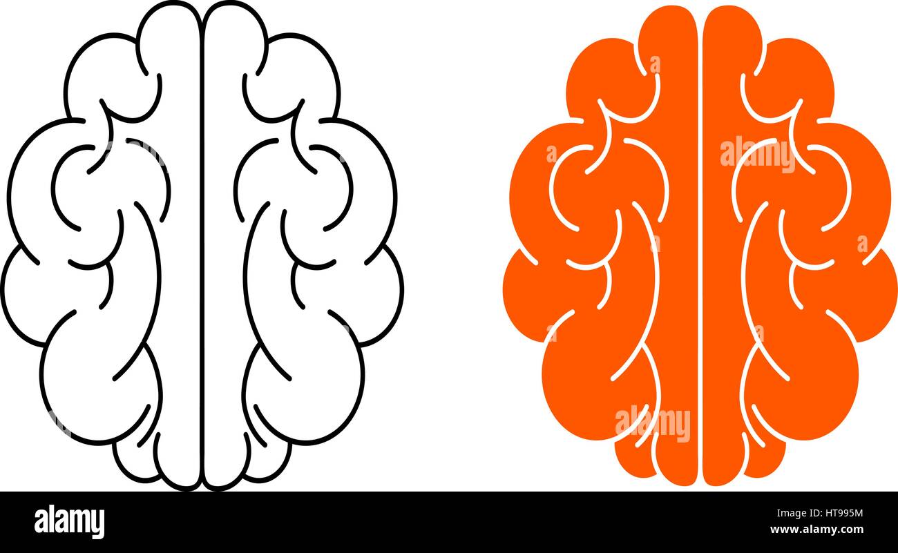 Vector outline illustration of human brain on white background Stock ...
