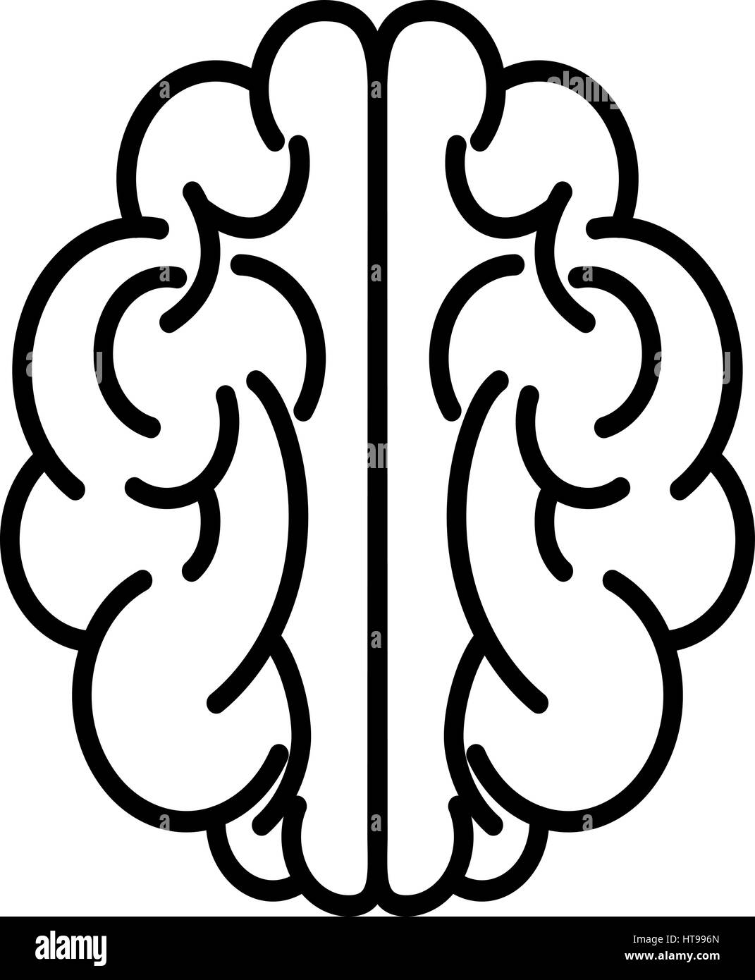 Human Brain Black and White Stock Photos & Images - Alamy