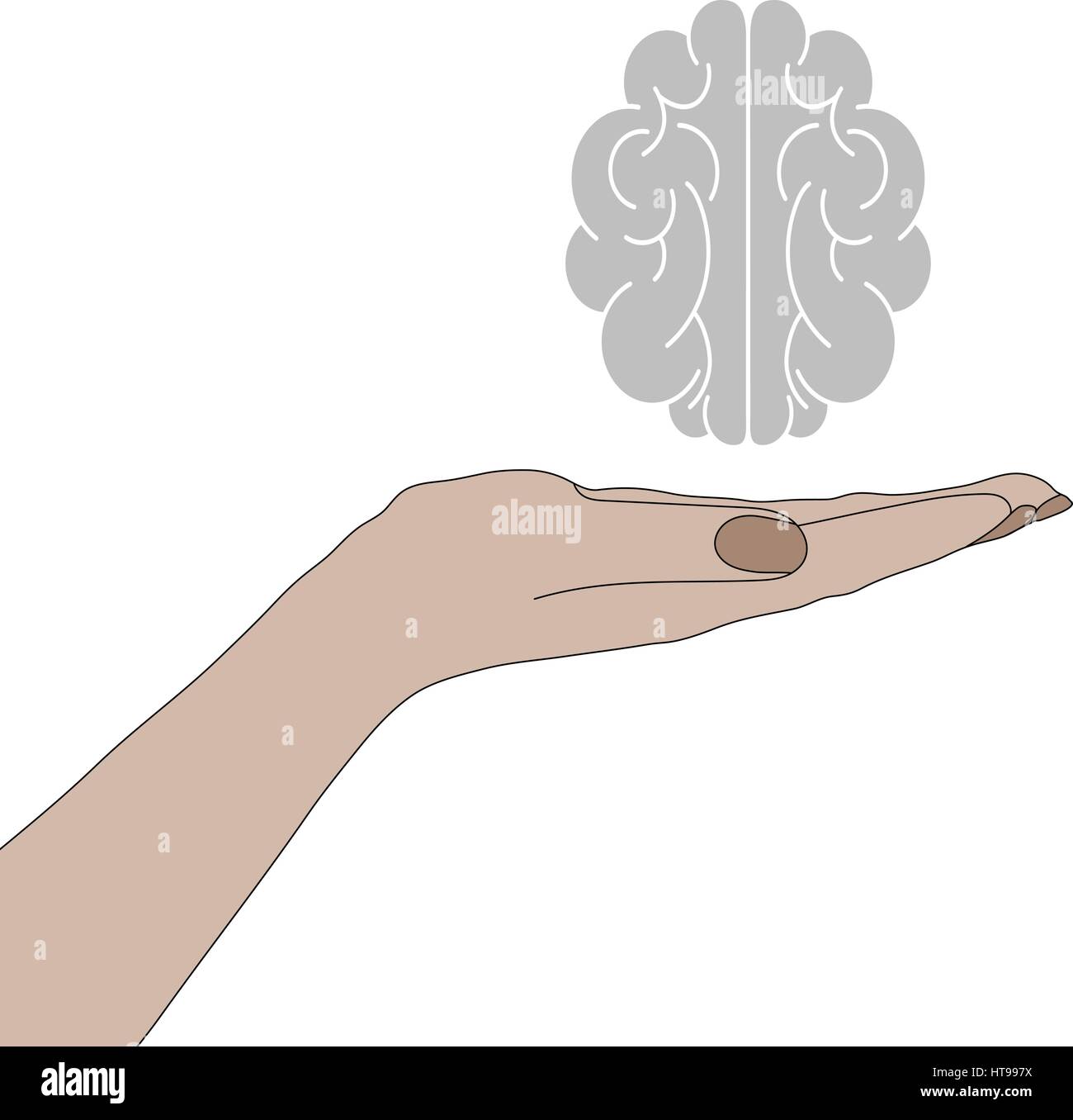 Hand holding human brain organ hi-res stock photography and images - Alamy
