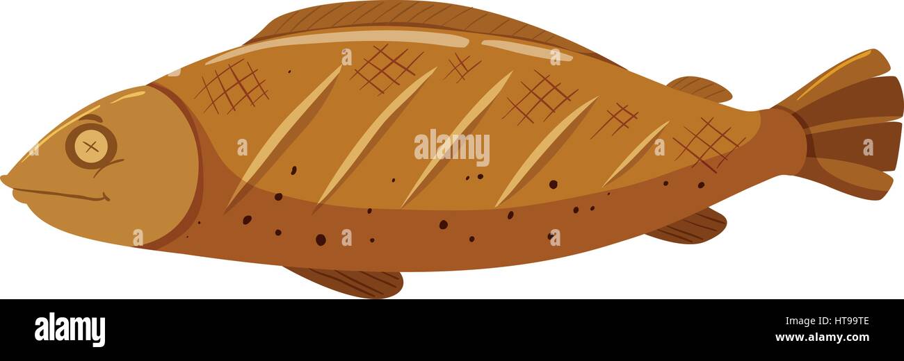 Grilled fish on white background illustration Stock Vector Image & Art ...