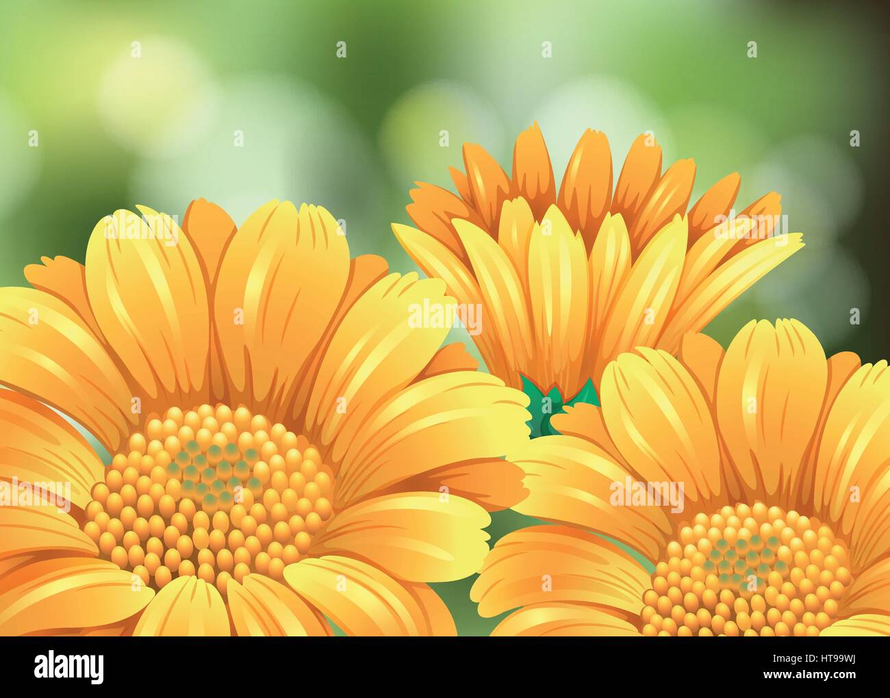 Yellow flowers in Stock Vector Images - Alamy