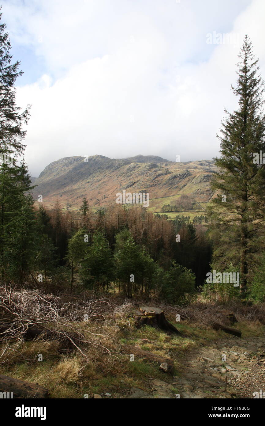 Looking towards Wythburn Fells from Wythburn in the Lake District ...