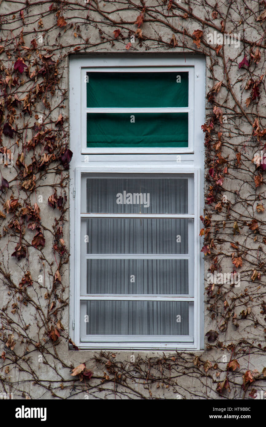 Window In The Fall Stock Photo - Alamy