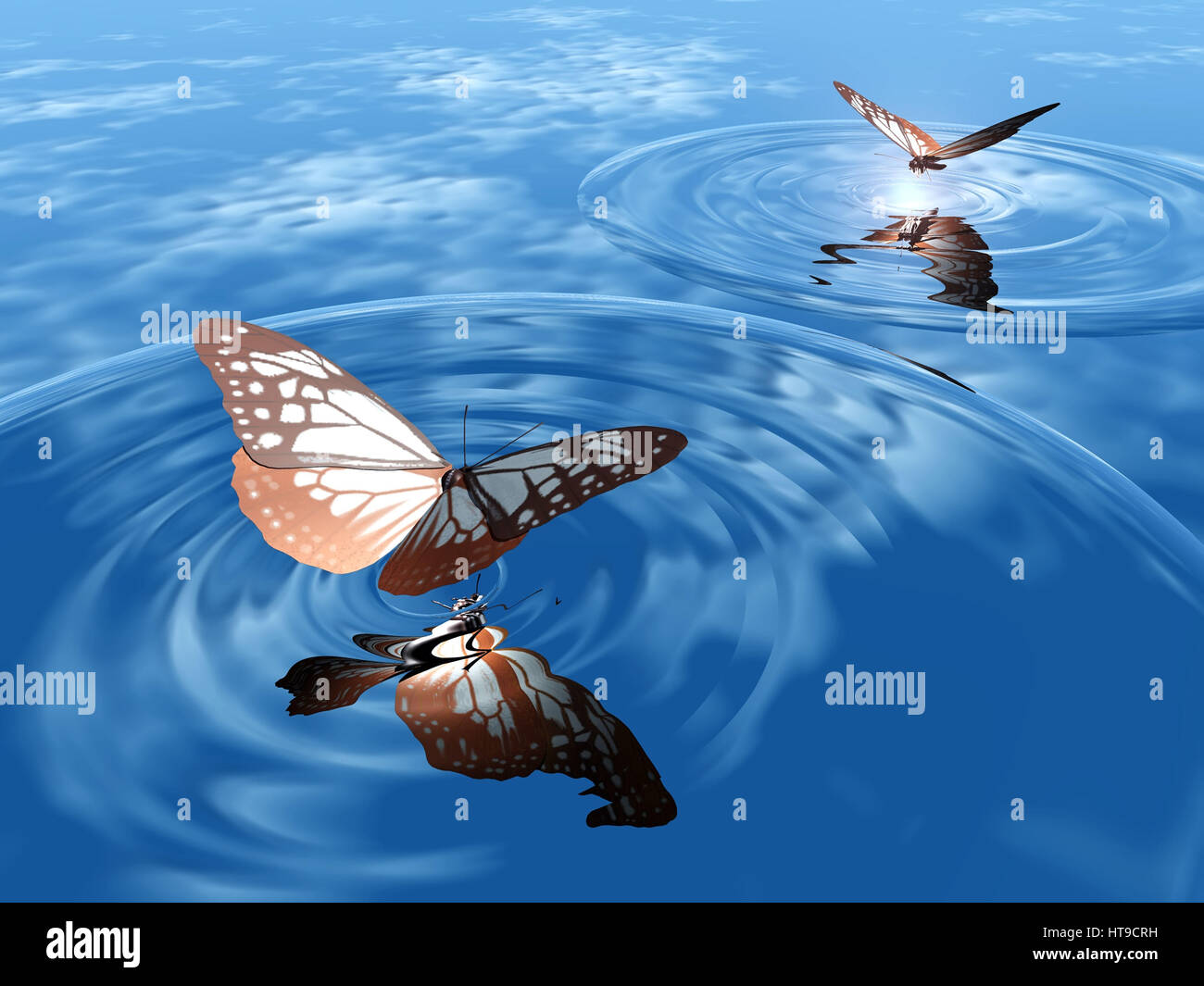 a beautiful butterfly and wings Stock Photo - Alamy