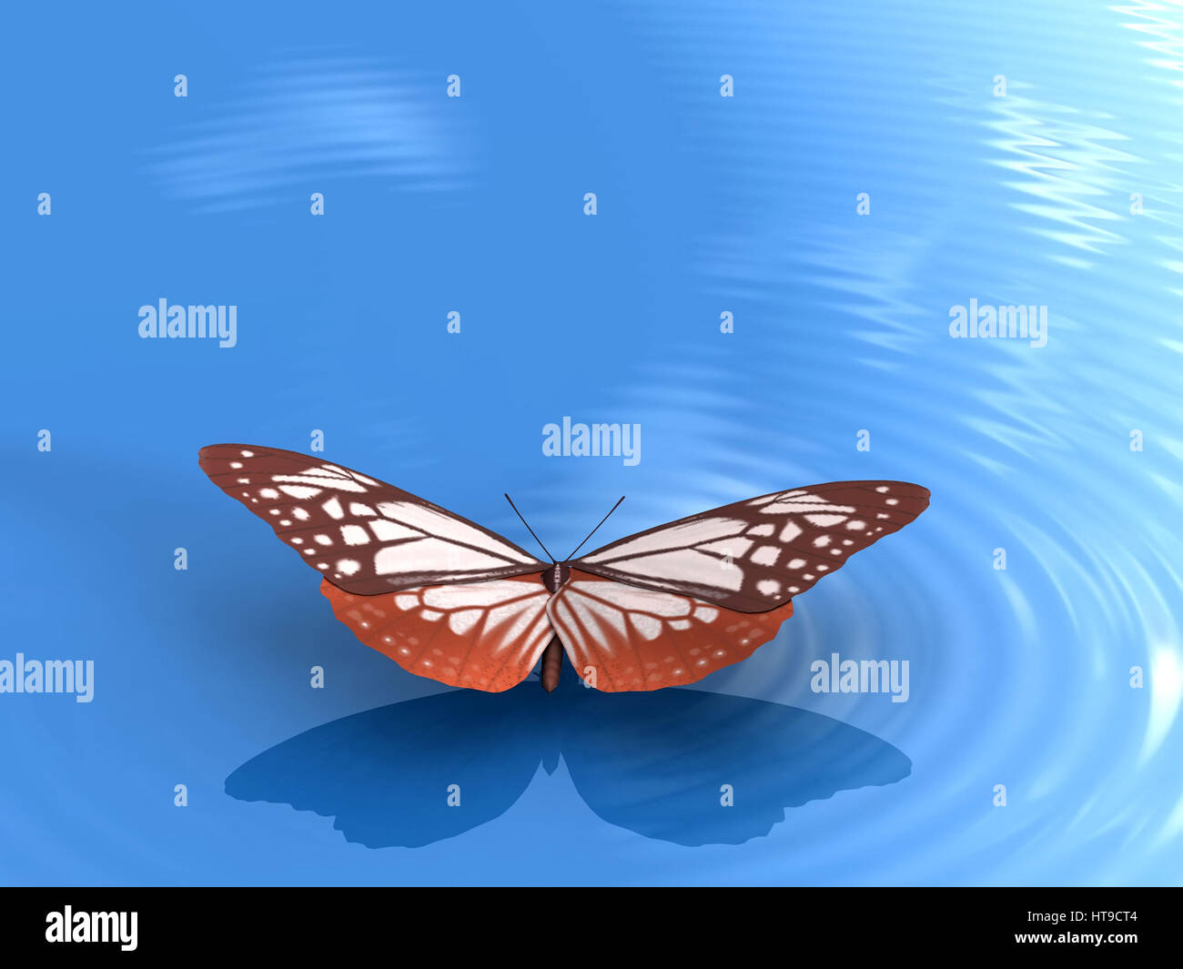 the beautiful butterfly with wings Stock Photo - Alamy