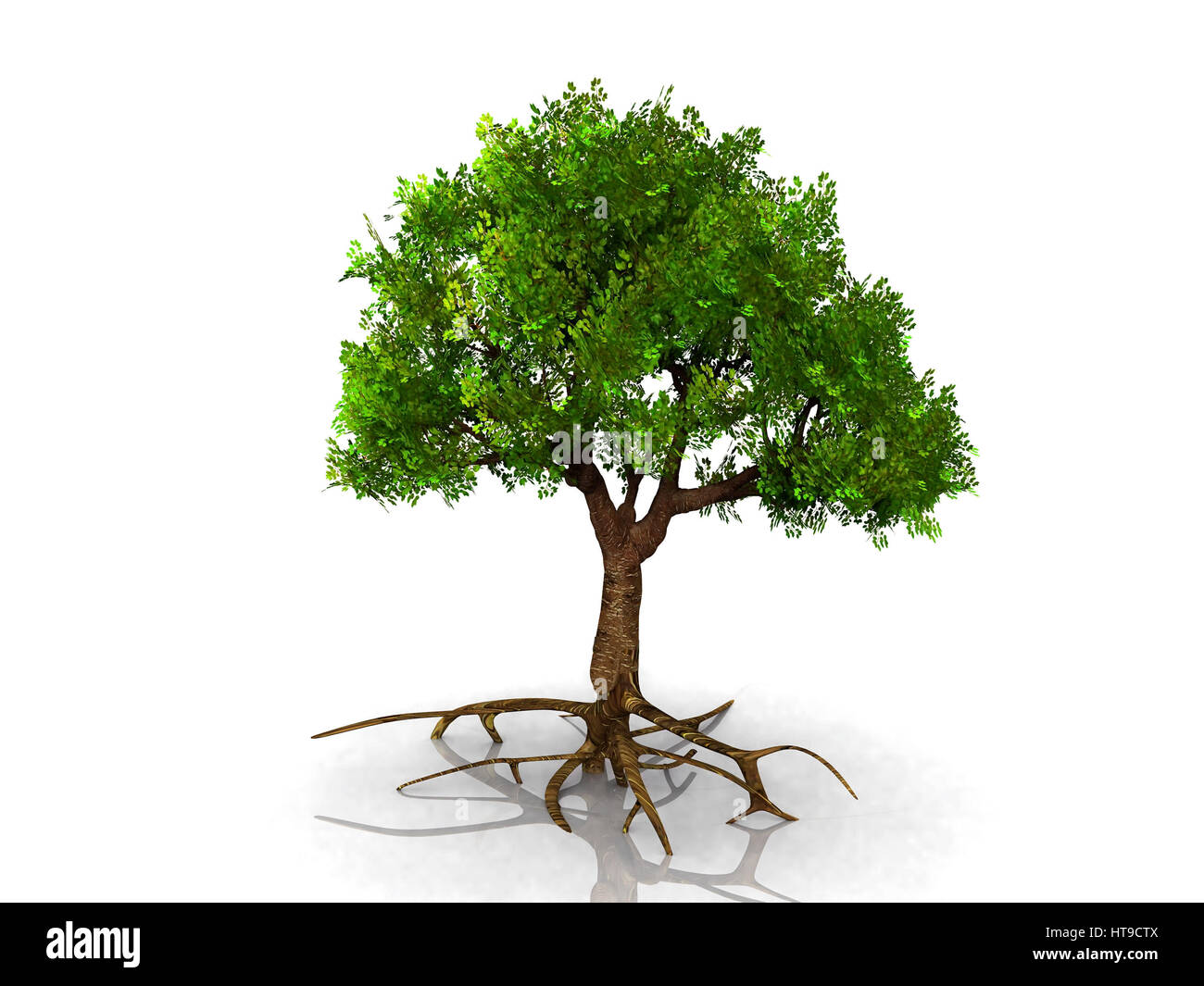the green tree Stock Photo - Alamy