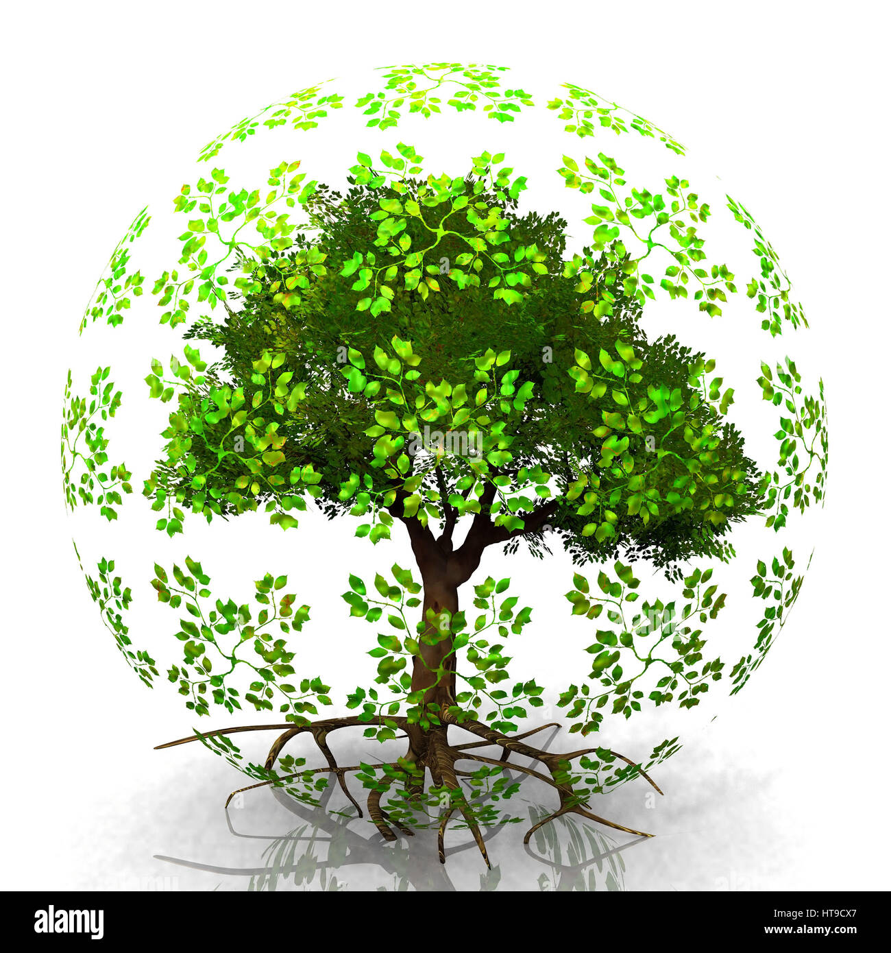 green tree in a transparent bubble Stock Photo - Alamy