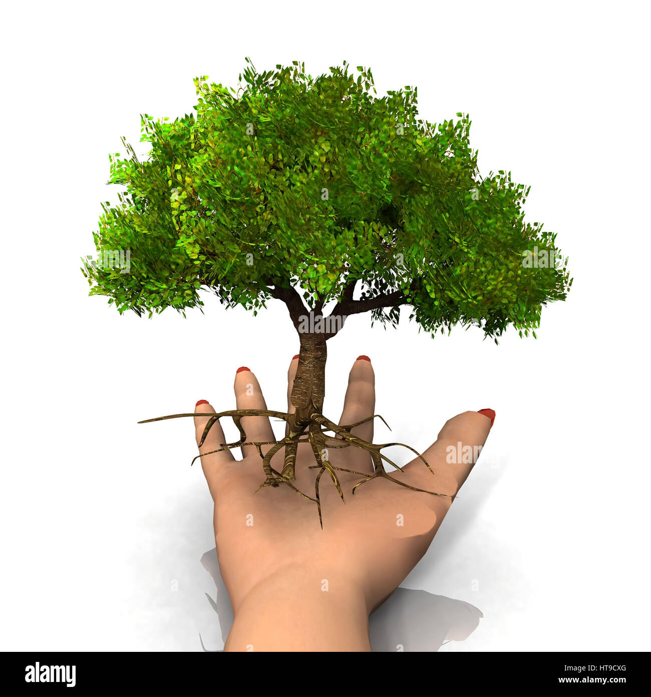 the tree in the hand Stock Photo - Alamy