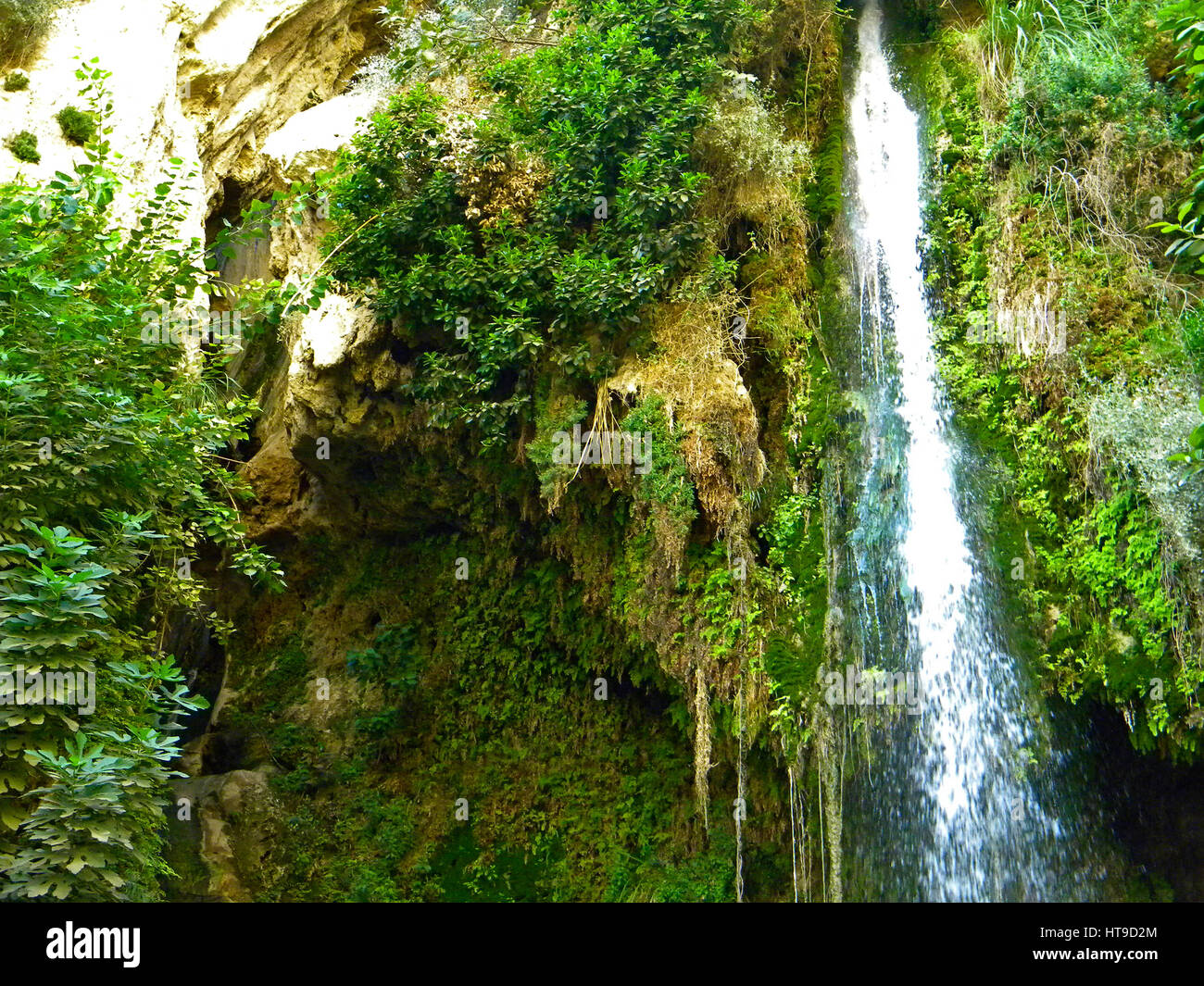 Waterfall landscape.David falls Ein Gedi.Water pure stream in green ...