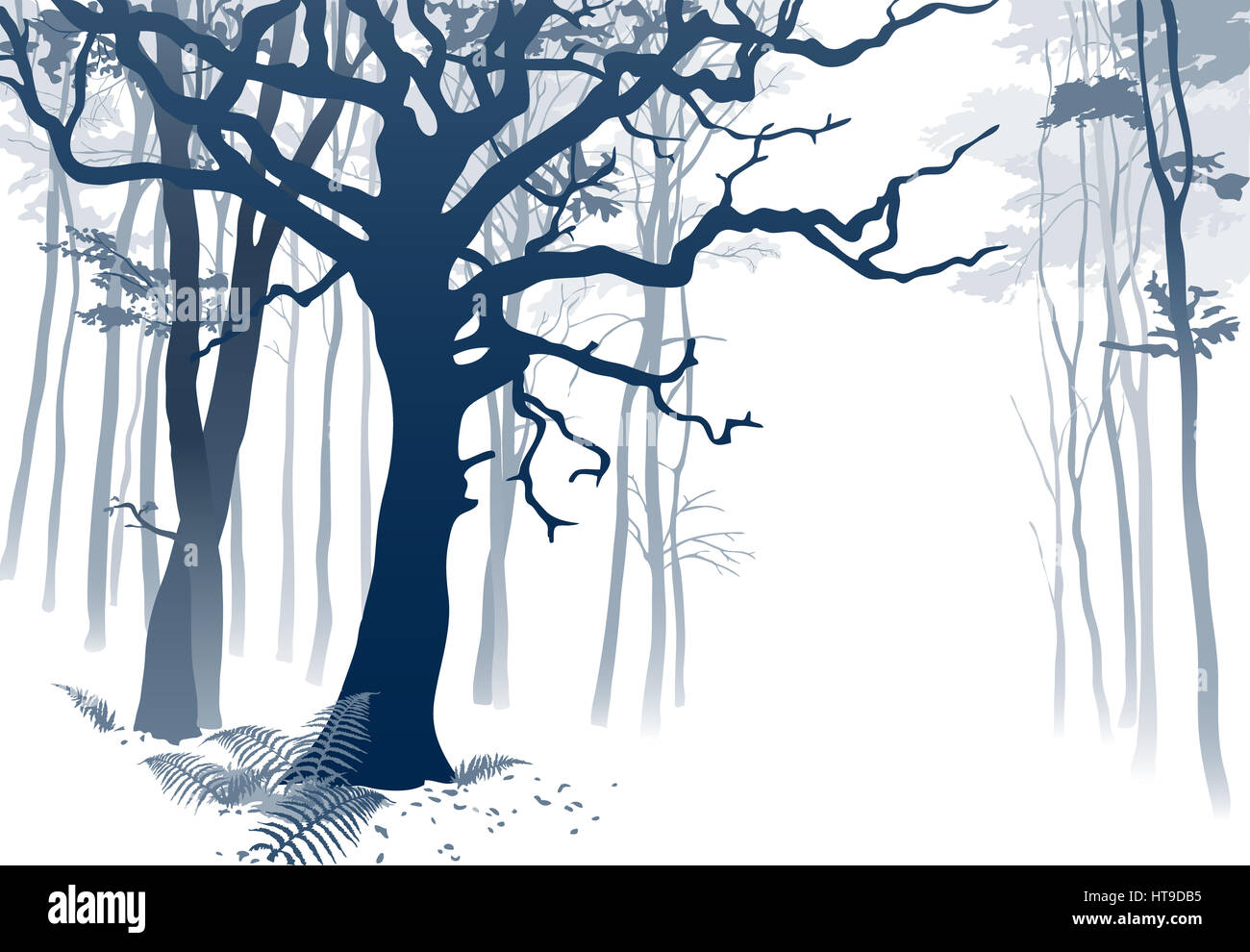 Foggy Forest. Hand drawn digital illustration of a misty woodland ...