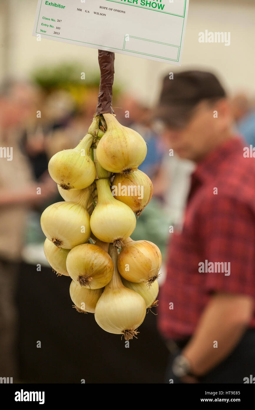 Knowing your onions hi-res stock photography and images - Alamy