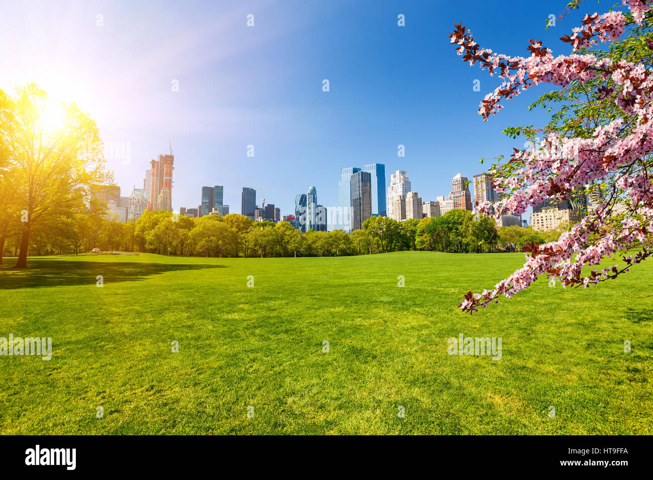Manhattan new york city park spring tree grass hi-res stock photography ...