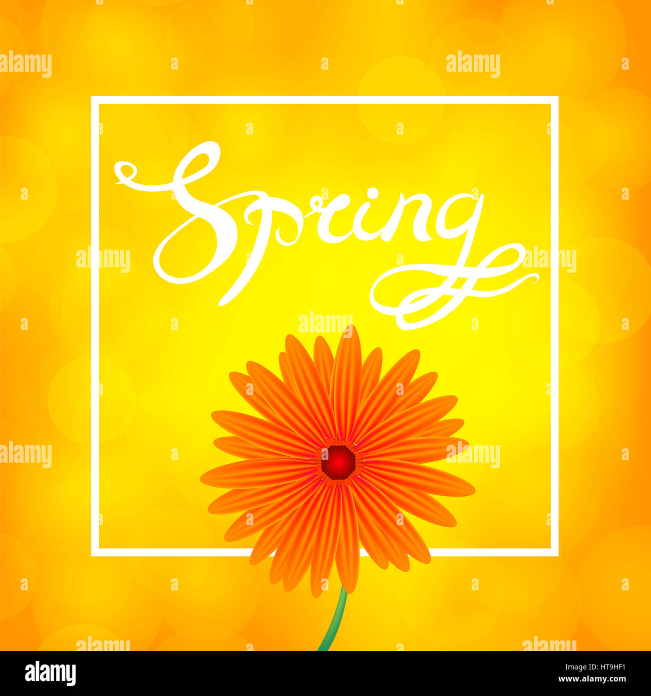 Spring Lettering Design. Orange Flower Banner with Yellow Blurred ...