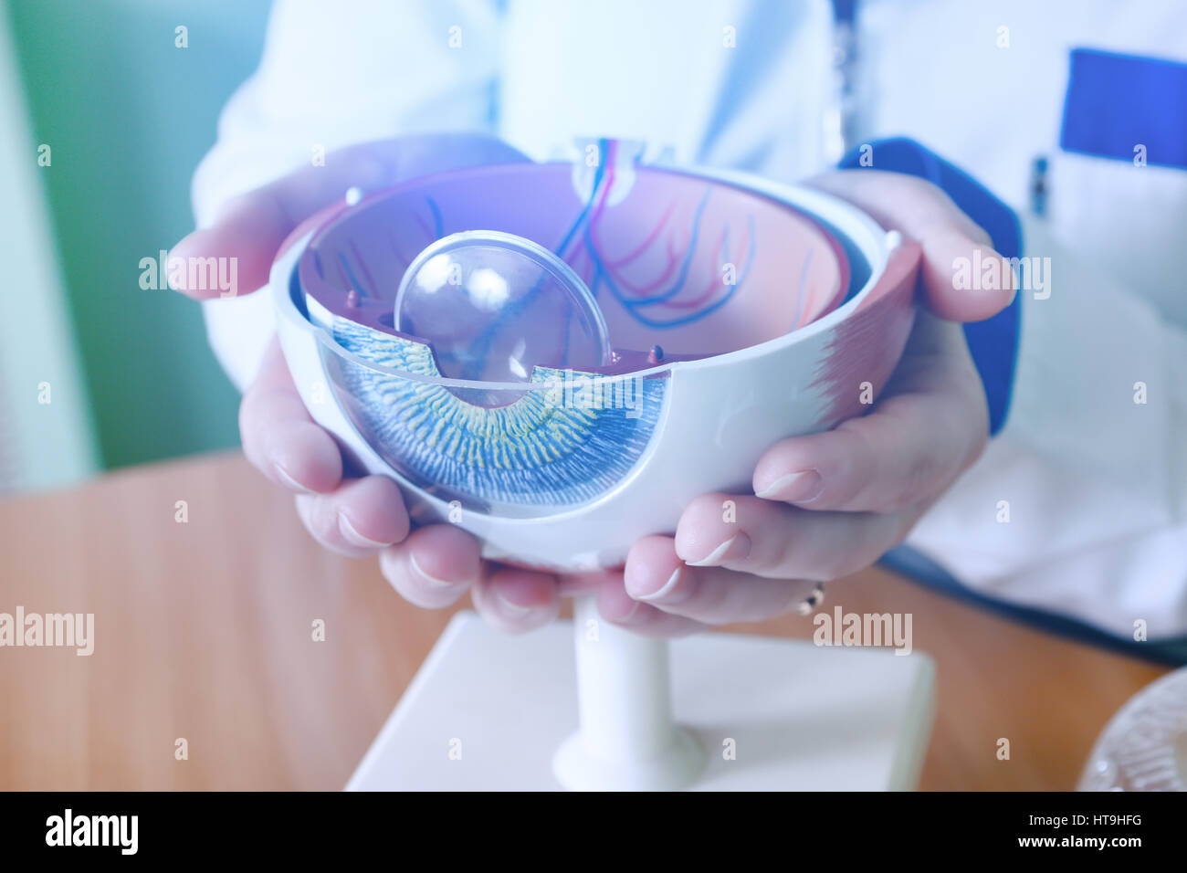 Ophthalmology oculus sample closeup. Ophthalmology, eye model close-up ...