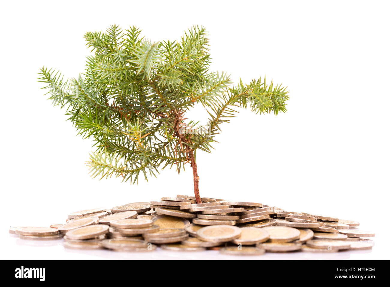 Coins and tree isolated on white background Stock Photo - Alamy