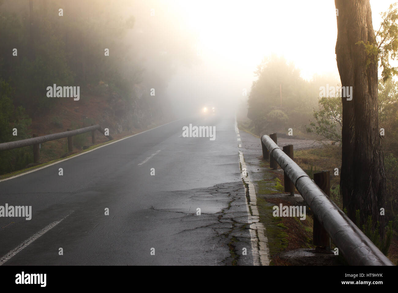 Road rough texture. Black asphalt with white line middle. Divided way ...