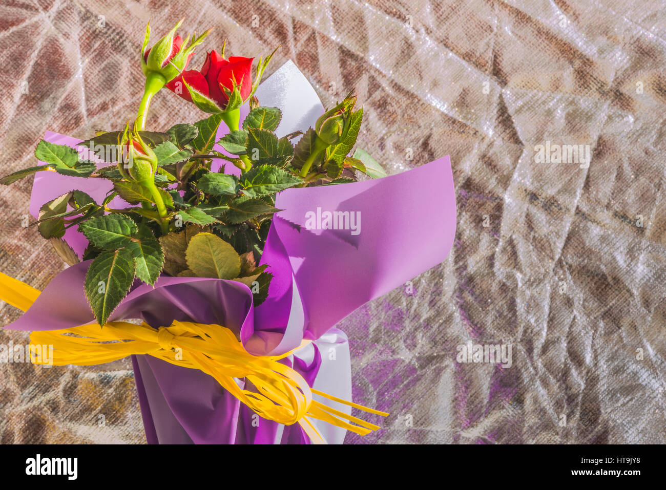 Holiday rose bouquet hi-res stock photography and images - Alamy