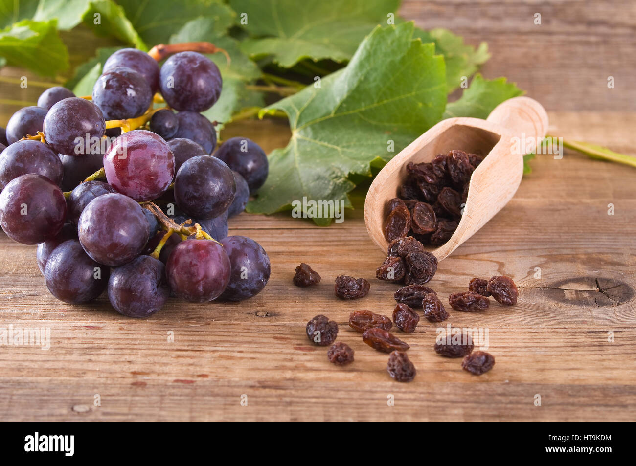 Raisin vine fruit dried hi-res stock photography and images - Alamy