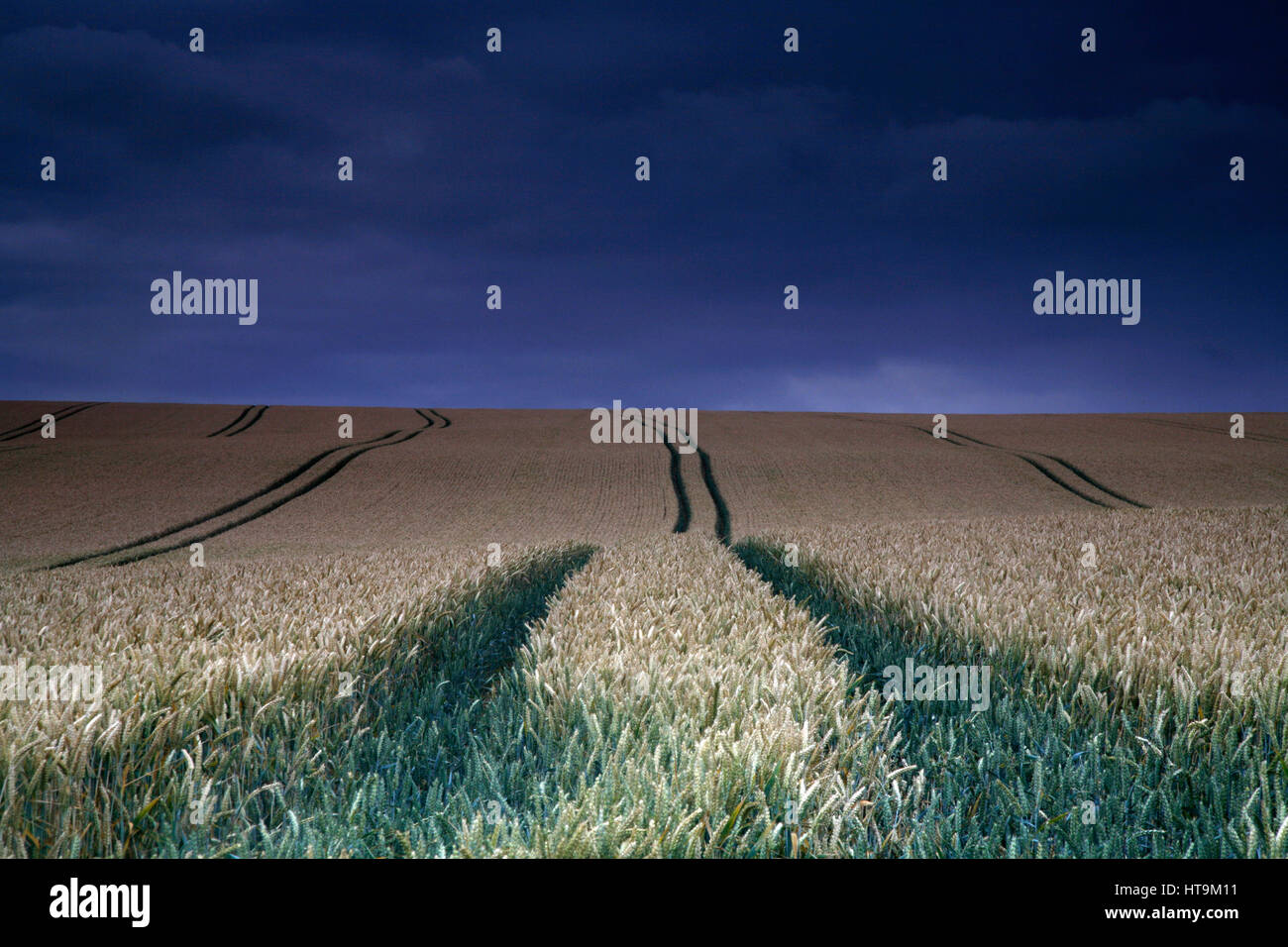 Fifield hi-res stock photography and images - Alamy