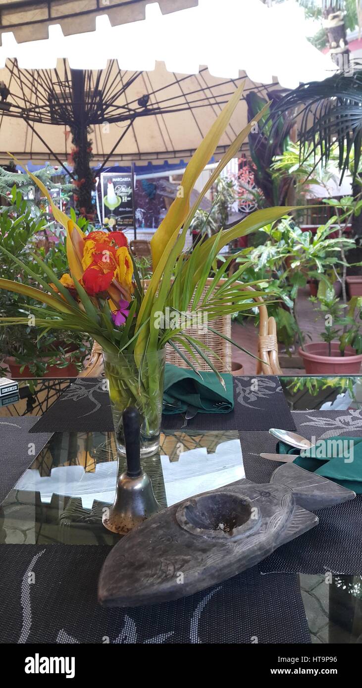 Hotel Deep forest garden, Puerto Princesa, Palawan, Philippines Stock ...