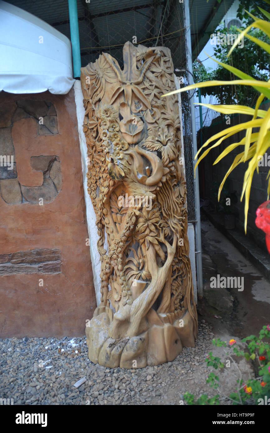 Hotel Deep forest garden, Puerto Princesa, Palawan, Philippines Stock ...