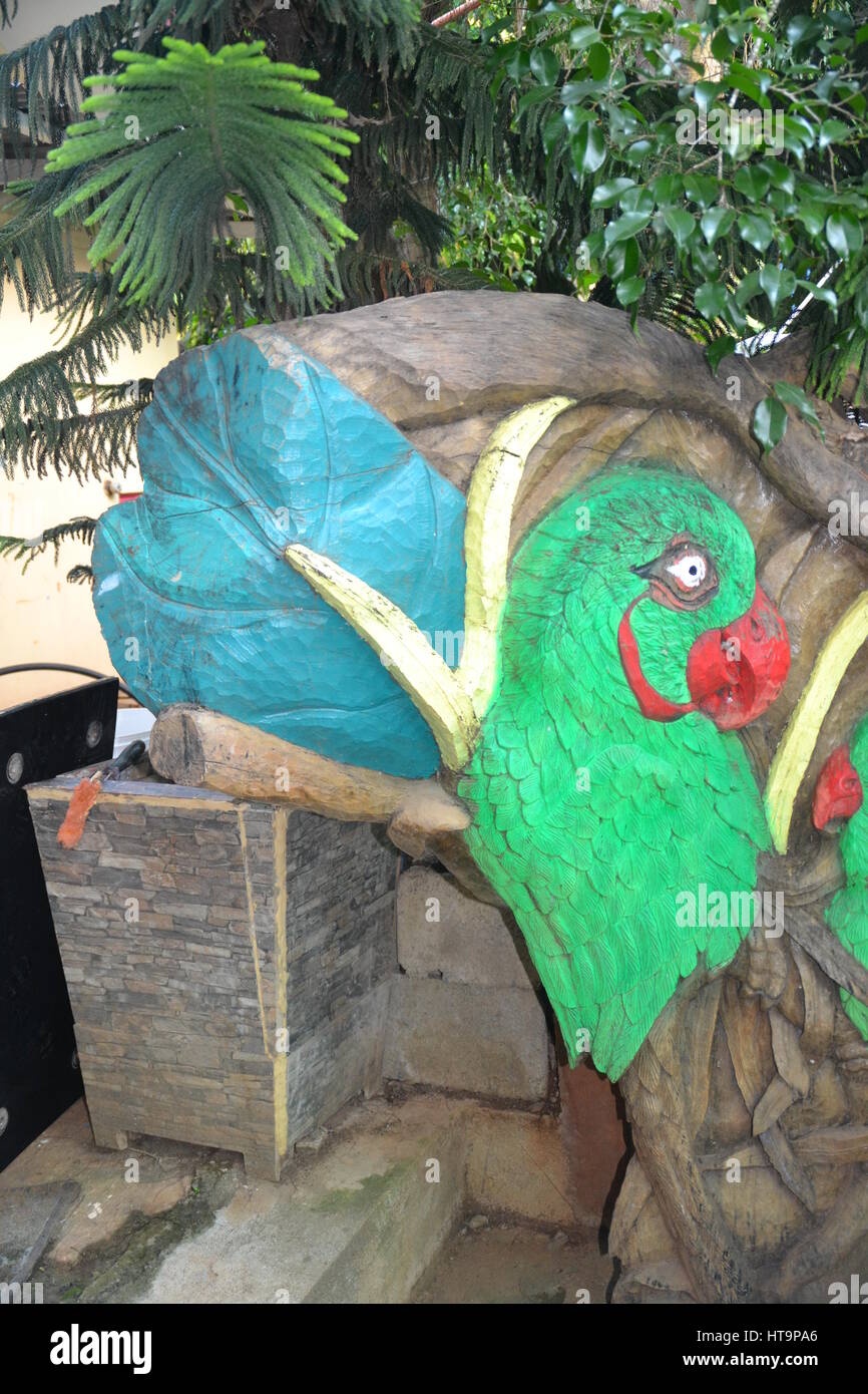 Hotel Deep forest garden, Puerto Princesa, Palawan, Philippines Stock ...