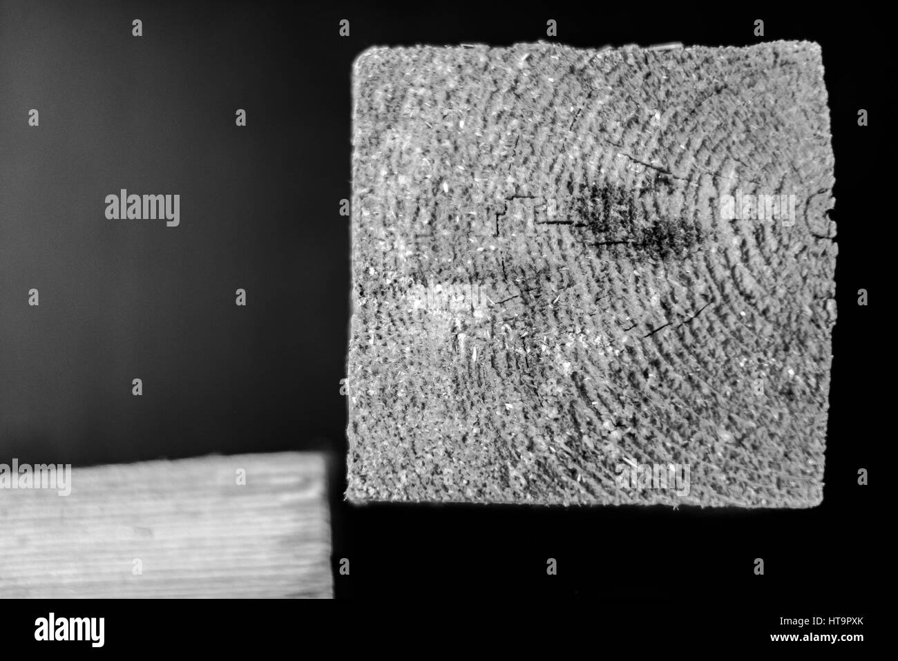 Square wooden cut black and white Stock Photo - Alamy