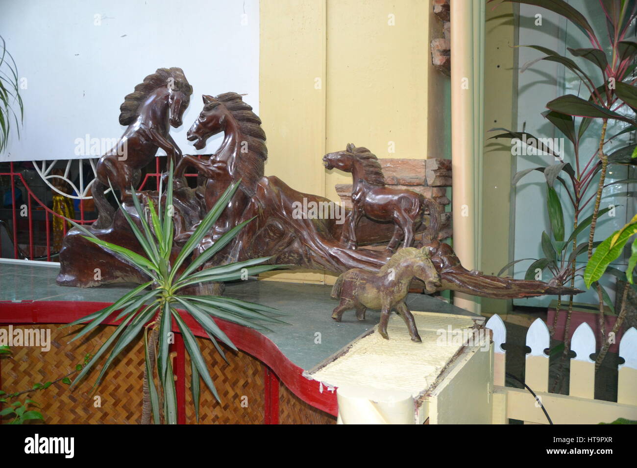 Hotel Deep forest garden, Puerto Princesa, Palawan, Philippines Stock ...