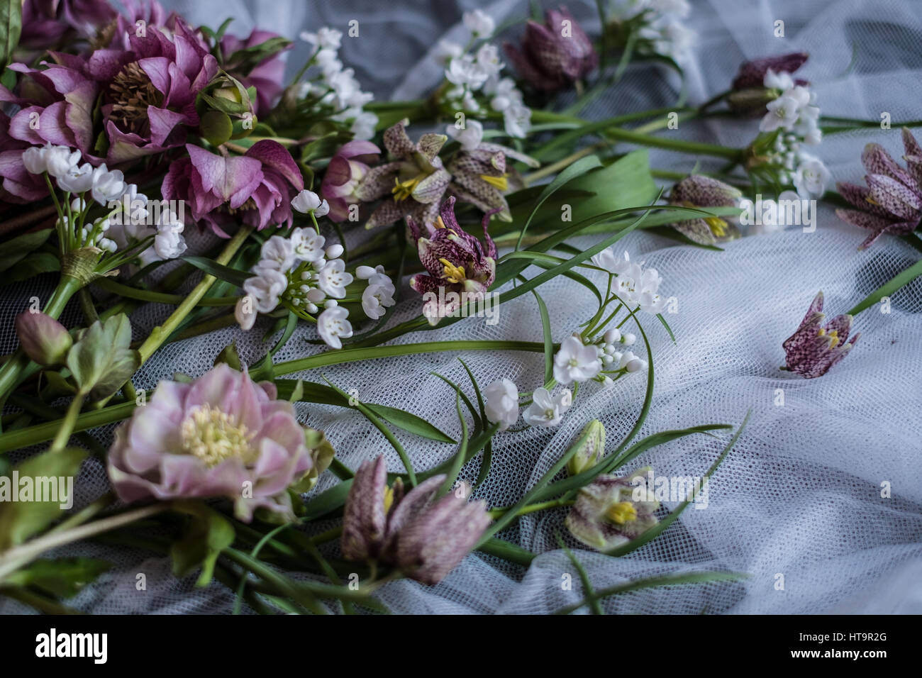 Spring flowers on the table Stock Photo - Alamy