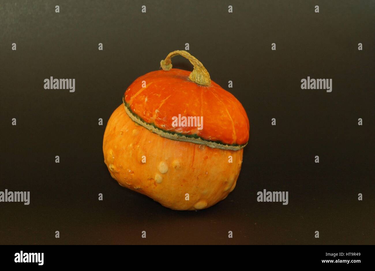Pompion High Resolution Stock Photography and Images - Alamy