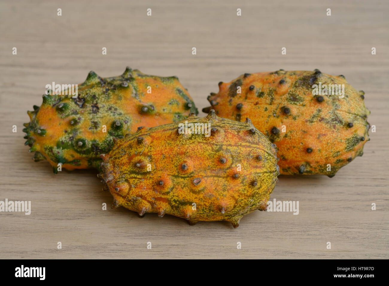 Prickly Melon, Nairobi, Kenya Stock Photo - Alamy