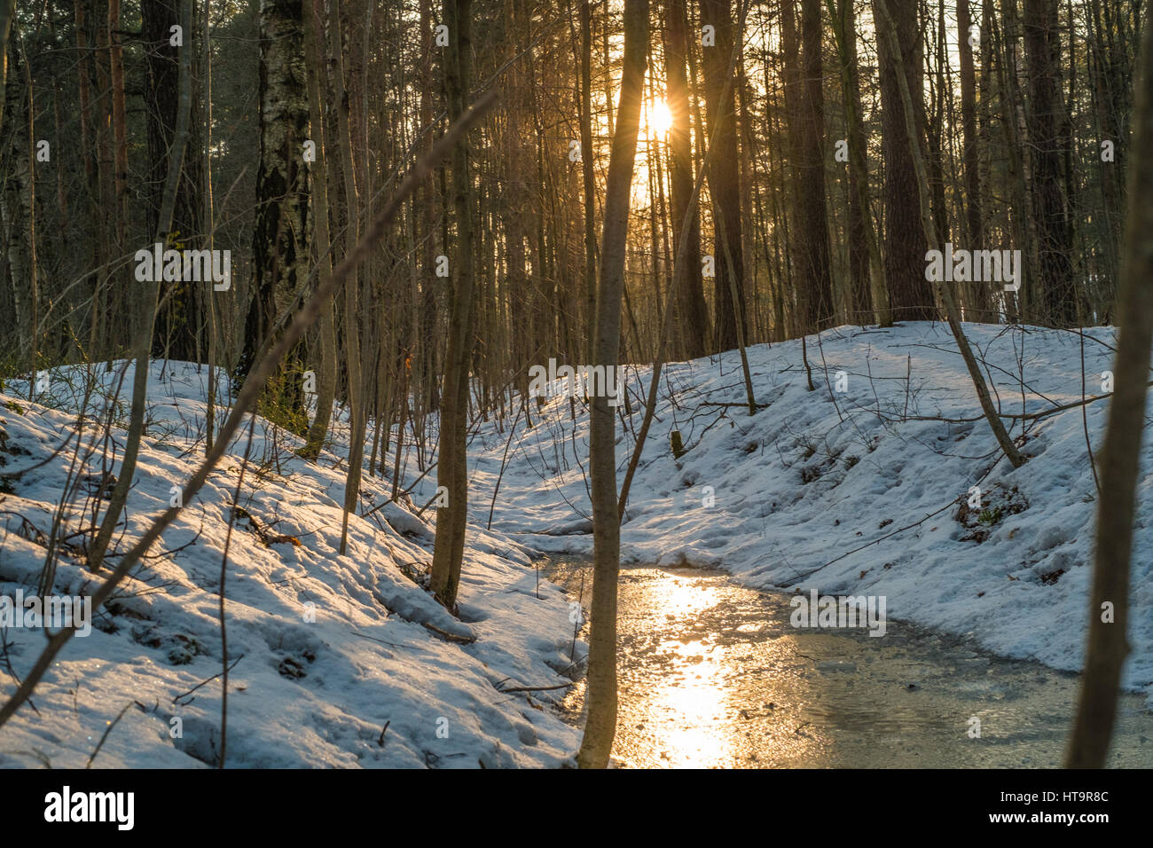 Frozen brook hi-res stock photography and images - Alamy