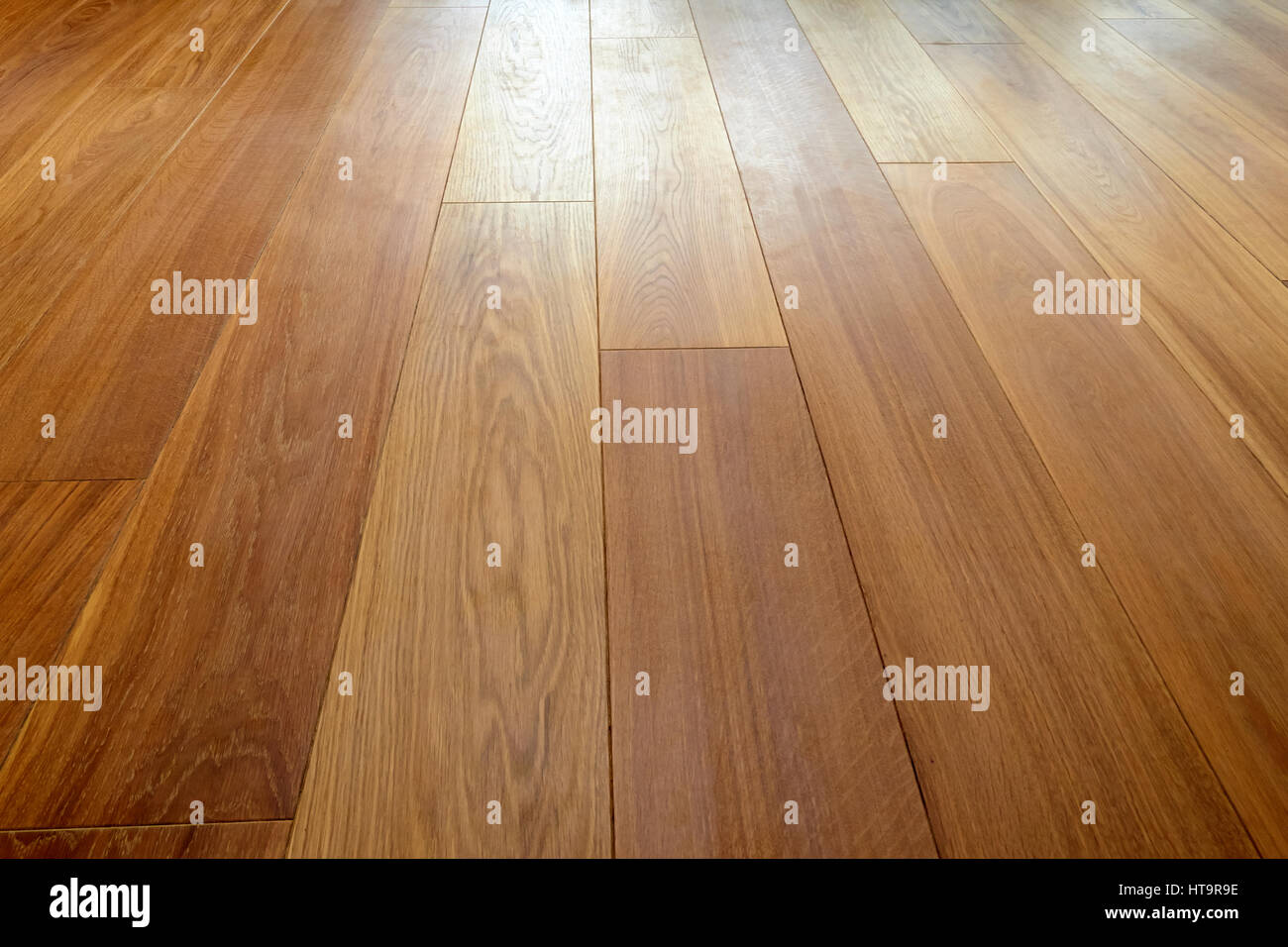Perspective of Hardwood floor in close up Stock Photo - Alamy