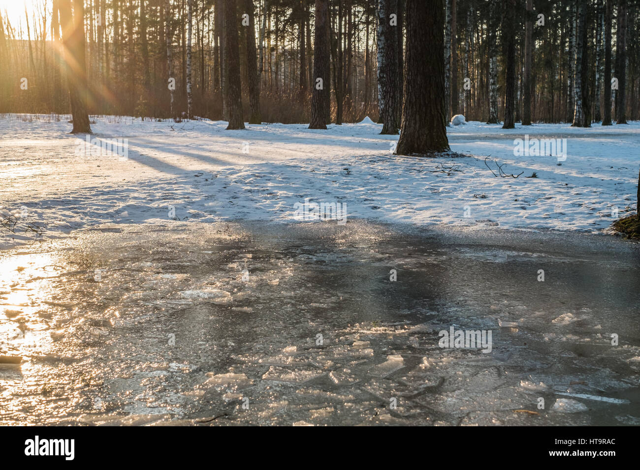 Frozen brook in forest hi-res stock photography and images - Alamy