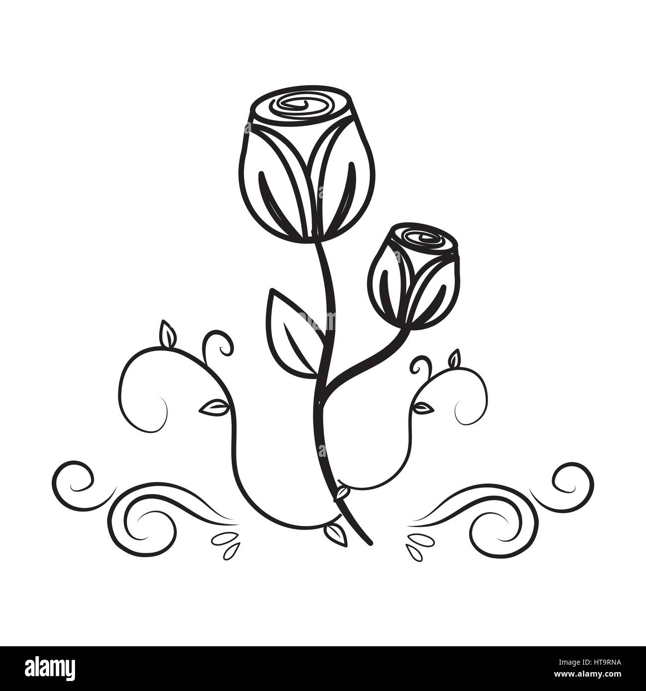 beautiful spring roses icon Stock Vector Image & Art - Alamy
