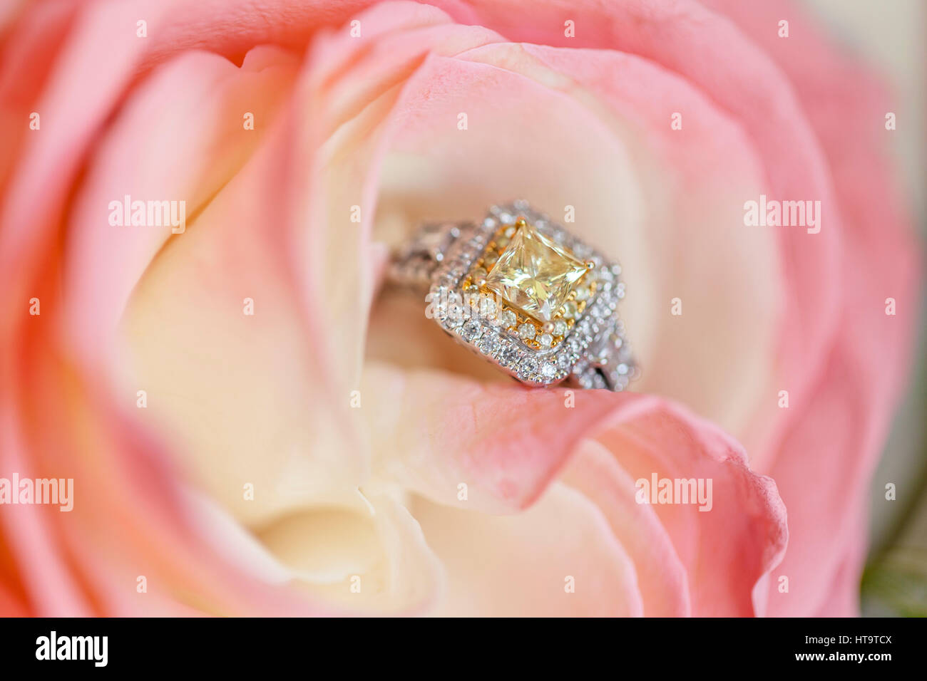 Wedding ring on a colourful flower Stock Photo - Alamy