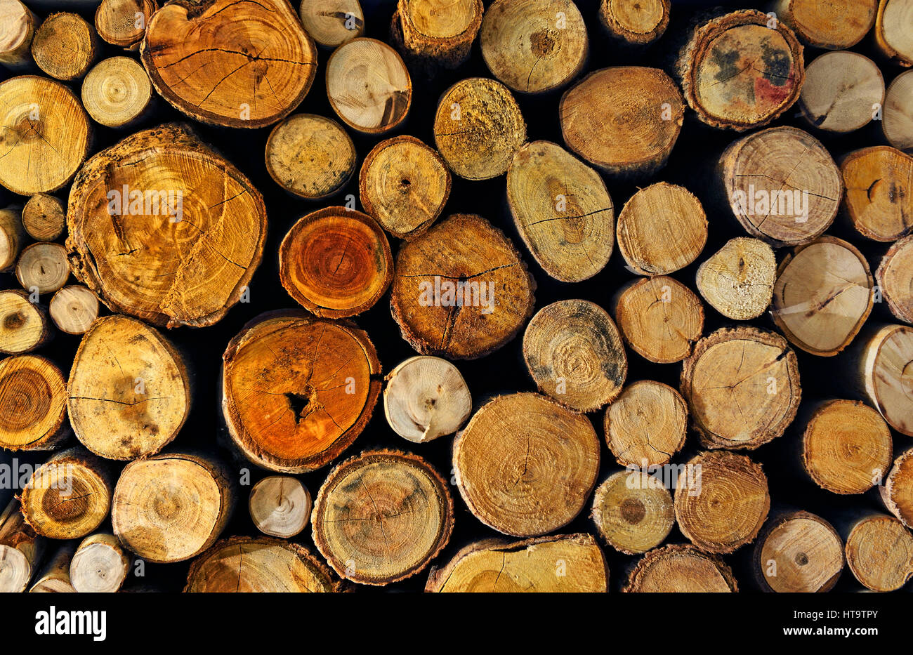 Stack of round cutted firewood pieces as background texture - Circle ...