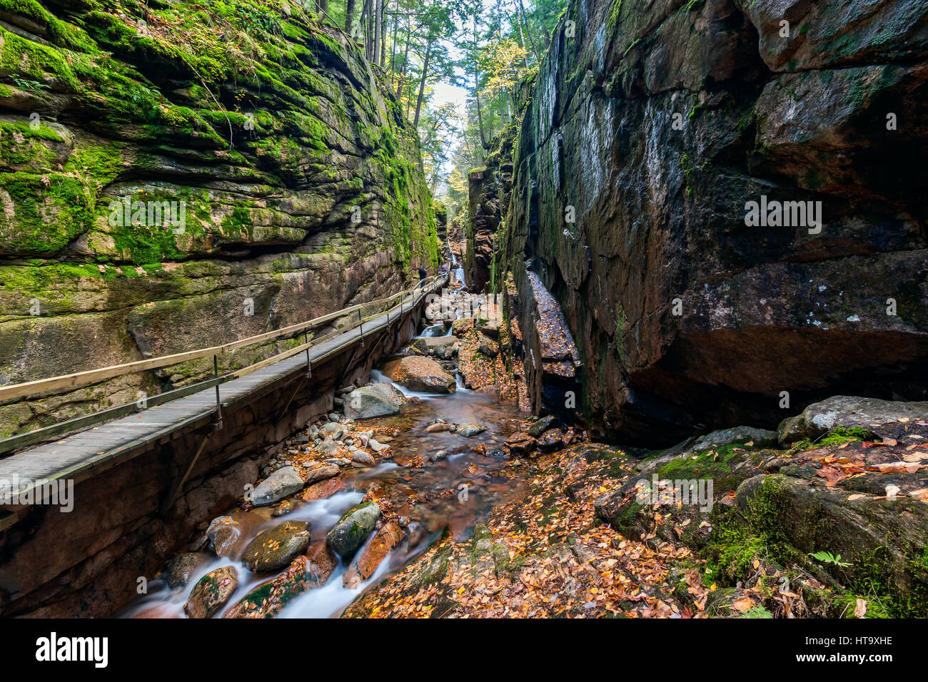 Wooden walkway and steps along the Flume Gorge in Franconia Notch State ...