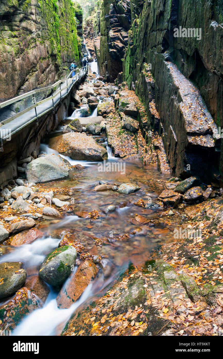 Wooden walkway and steps along the Flume Gorge in Franconia Notch State ...