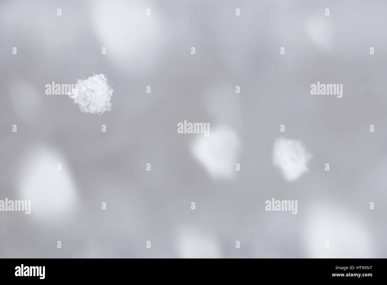 falling snow in winter Stock Photo - Alamy