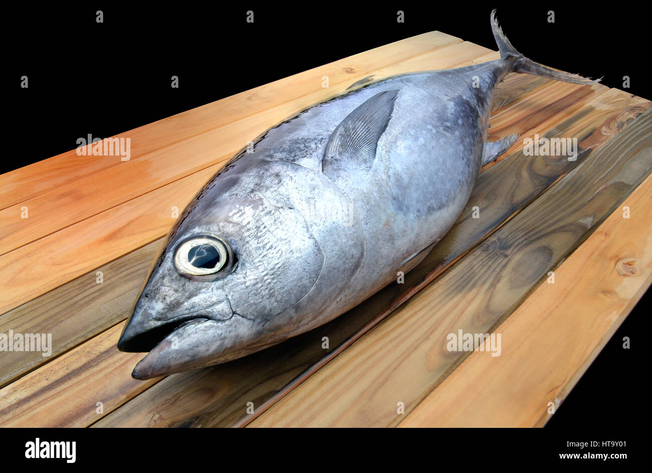 Big eye tuna hi-res stock photography and images - Alamy