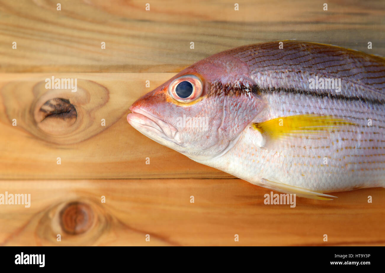 Pink snapper hi-res stock photography and images - Alamy
