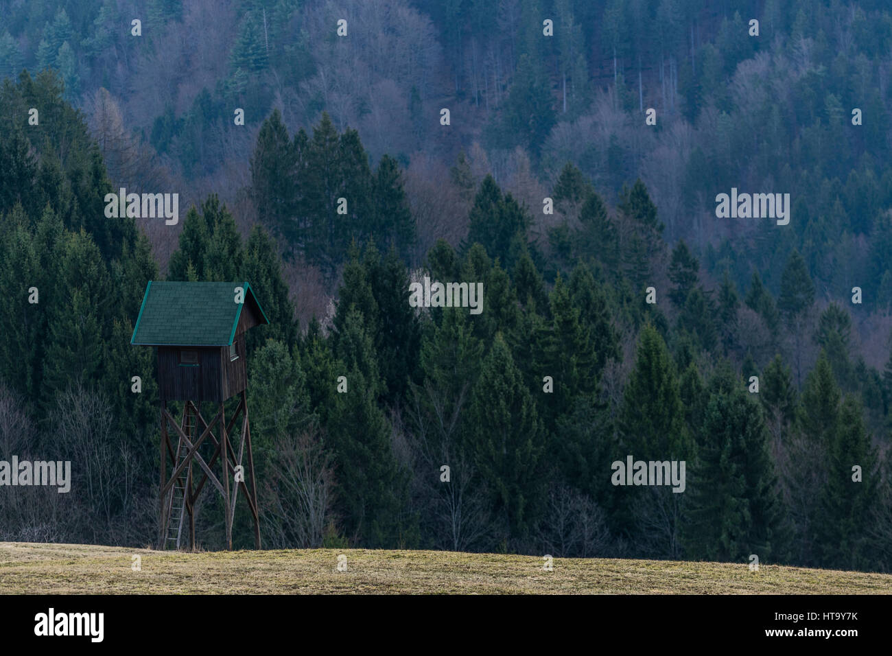 Tree stand hi-res stock photography and images - Alamy