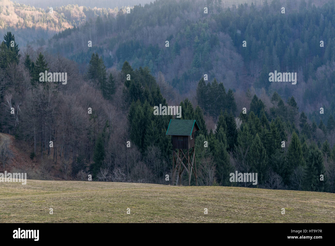 Tree stand hi-res stock photography and images - Alamy
