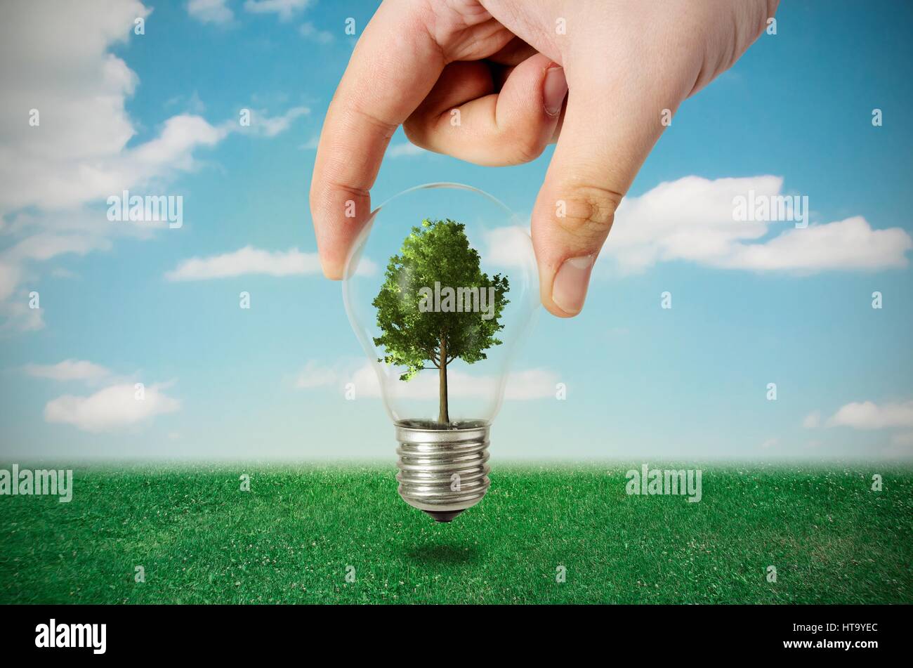 Energy efficiency concept. Abstract composition with tree in bulb on ...