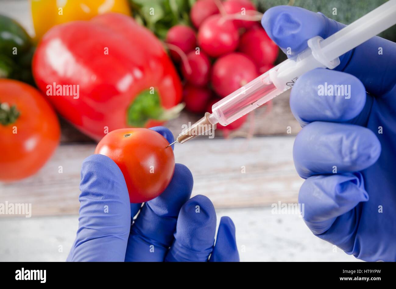 Analyst injects liquid into apple. Genetically modified food in lab ...